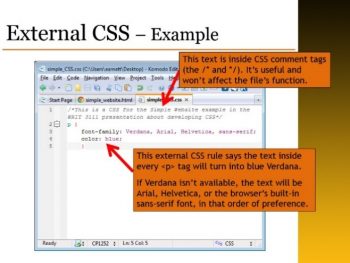 Chapter 12: Oral Reports – Technical and Professional Writing Genres